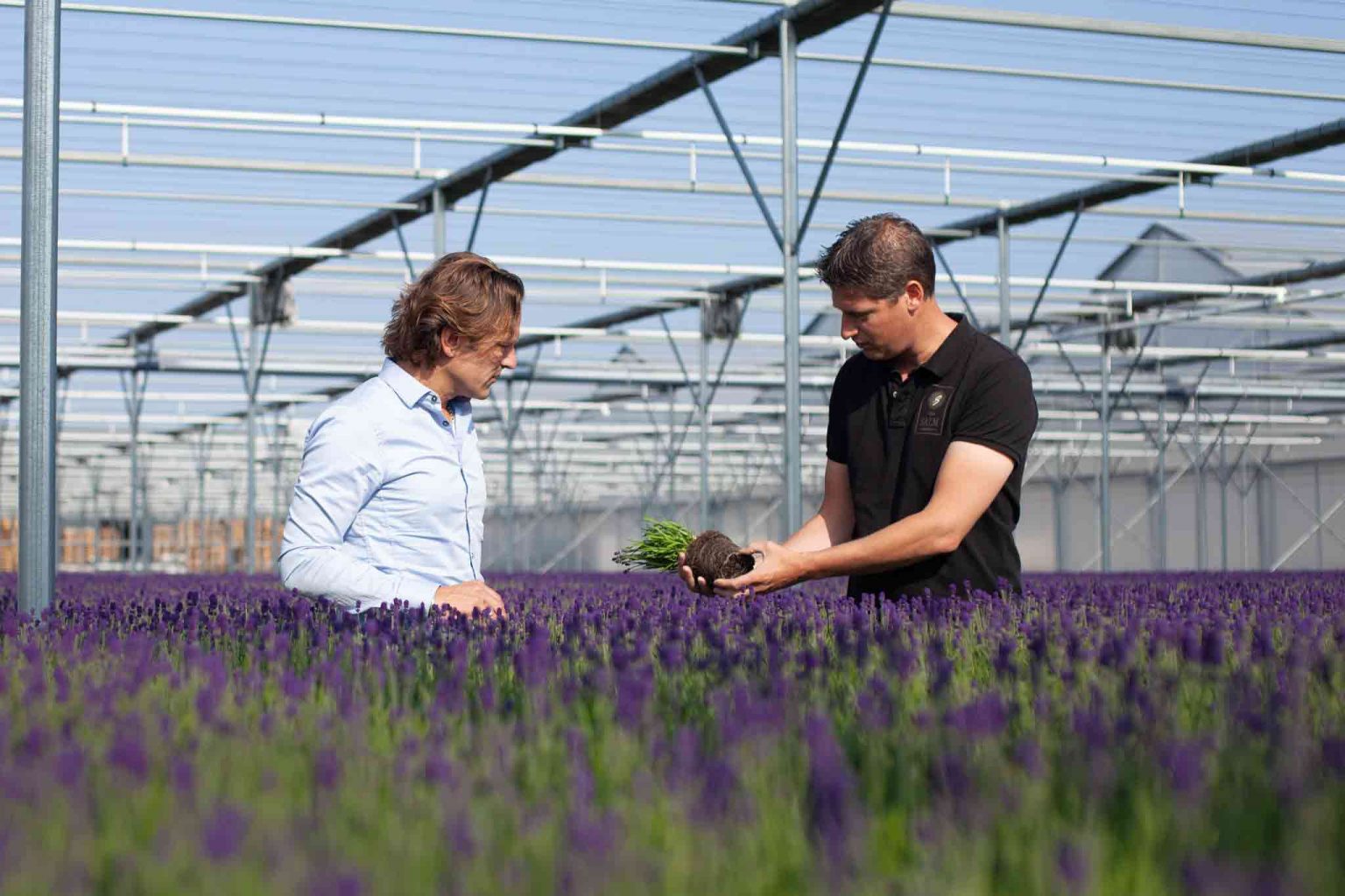 Jiffy substrates for healthy plant growth | Jiffy Group