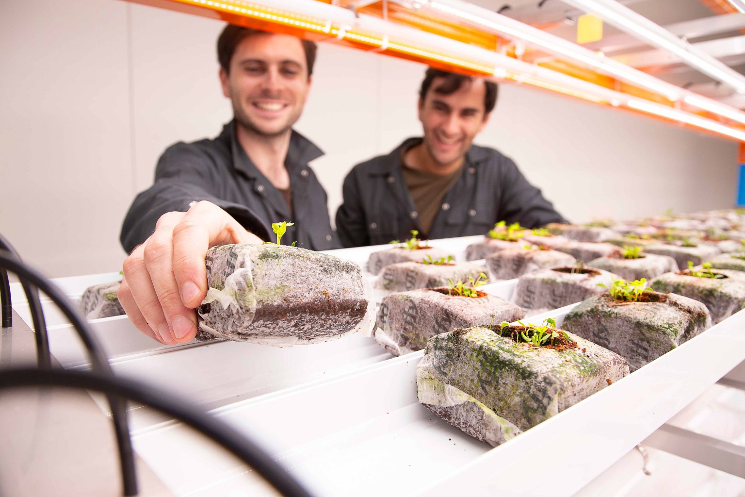 Jiffy OGrowblock now Ecocert certified | Jiffy Group