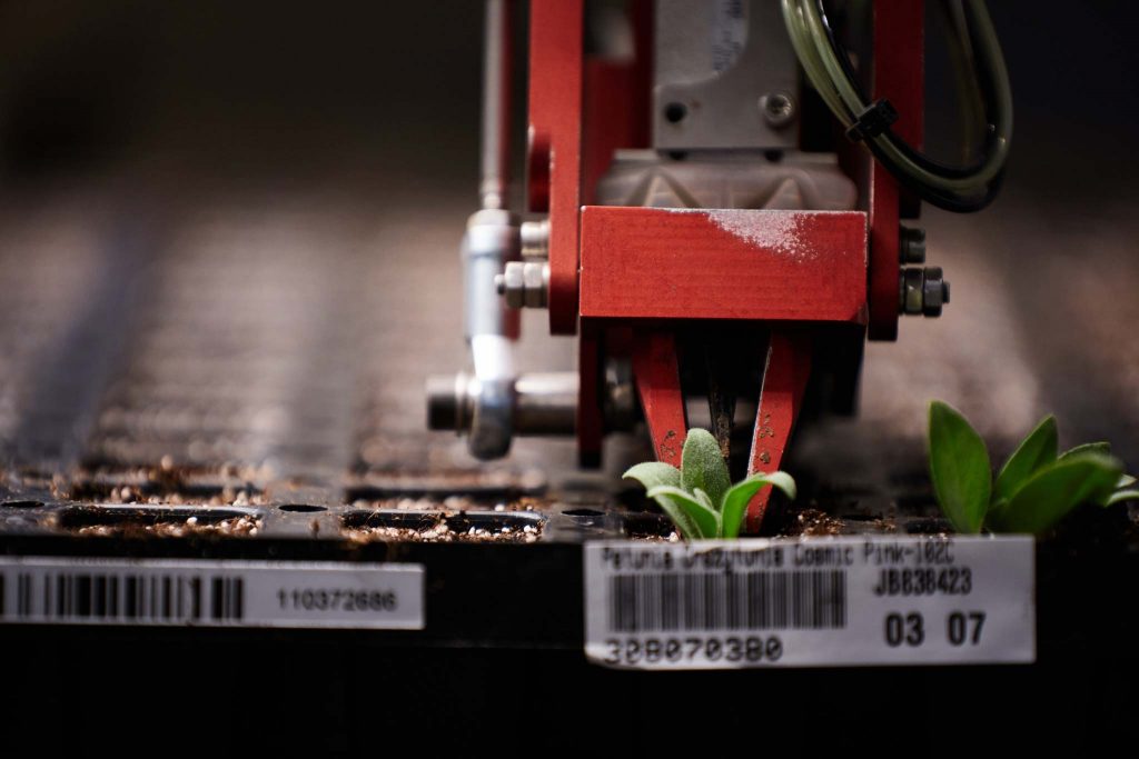 Jiffy launches new Flexistart growing media - Jiffy Group