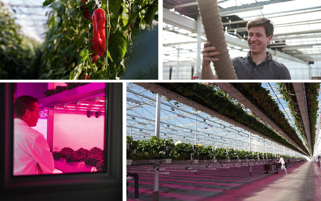 Jiffy Group launches new Company Video | Jiffy Group