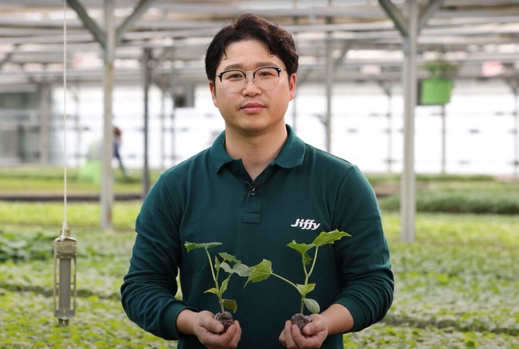 Cucumber Propagation Pellets are a Gamechanger | Jiffy Group