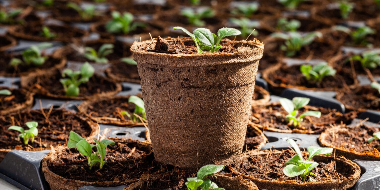 Jiffy substrates and mix for professional use | Jiffy Group