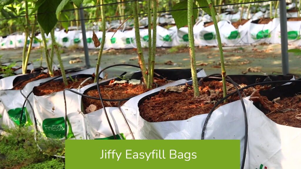 Jiffy EasyFill Growbags Provide Soilless Solutions to Fruit, Vegetable ...