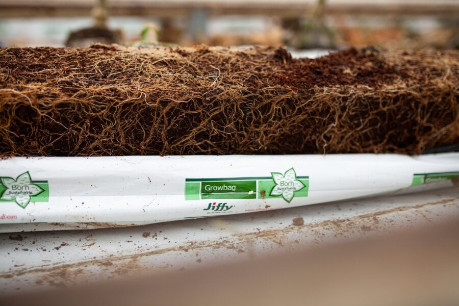 Jiffy Growbags: The perfect choice for your plants | Jiffy Group
